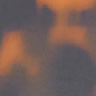 tortoise stapler | Kate Spade New York